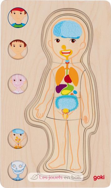 Puzzle corps humain modèle garçon - Goki - Jouets en bois